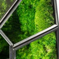 China Customized Logo Thanksgiving Occasion Miniature Moss Landscape for Home Decoration Sale for sale
