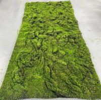 China Customized Size Artificial Black Dot Bottom Moss Sheet for Landscape Design Project for sale