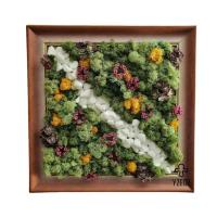 China Office Decor Customized Real Plants Moss Wall Panel with DIY Design and Long Lasting for sale