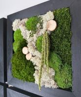 China Customized Stabilized Reindeer Moss Panel Art Long Lasting Office Decoration Ideas for sale