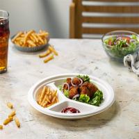 China High Quality Biodegradable Disposable Restaurant Sugarcane Plates 9 Inch Dishes Paper Plates for sale
