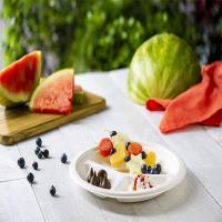 China High Quality Biodegradable Disposable Restaurant Sugarcane Plates 9 Inch Dishes Paper Plates for sale