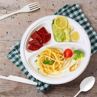 China High Quality Biodegradable Disposable Restaurant Sugarcane Plates 9 Inch Dishes Paper Plates for sale