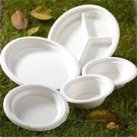 China Custom Service Sugarcane Bagasse 100% Compostable Oval Dish Plates for sale