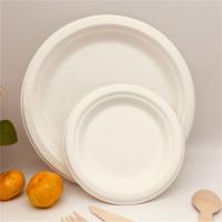 China Disposable custom White Paper Plates 7inch 9Inch Biodegradable Paper White Plate Eco-friendly White Paper Plate for sale