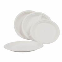 China Disposable custom White Paper Plates 7inch 9Inch Biodegradable Paper White Plate Eco-friendly White Paper Plate for sale