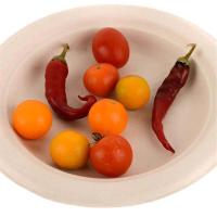 China Compostable Portable Custom Sugarcane Plates Disposable Sugarcane Bagasse Plate Round for sale