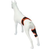 China Dog Knee Brace for sale
