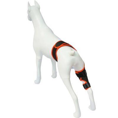 China Dog Knee Brace for sale