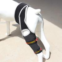 China Dog Knee Brace for sale