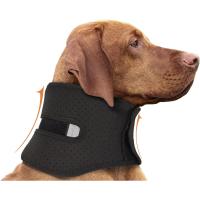 China Dog neck brace for sale
