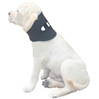 China Dog neck brace for sale
