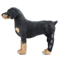 China Dog leg Brace for sale