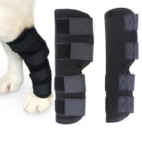 China Pet Knee Pad for sale