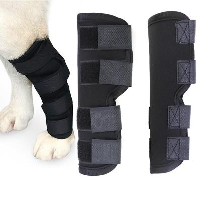China Pet Knee Pad for sale