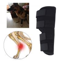 China Pet Knee Pad for sale