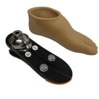 China High ankle carbon fiber foot for sale