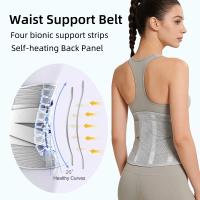 China Unisex Breathable Lumbar Belt With 4 Bionic Strips Self Heating Back Support for sale