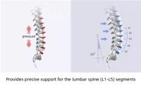 China Bamboo Charcoal Lumbar Belt With 4 Bionic Strips Self Heating Waist Support Brace for sale