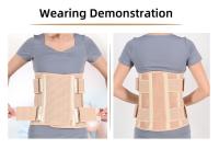 China Adjustable Lumbar Waist Support Belt With 6 Bionic Steel Strips for sale