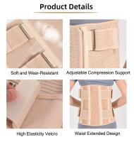 China Adjustable Lumbar Waist Support Belt With 6 Bionic Steel Strips for sale