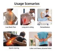 China Adjustable Lumbar Waist Support Belt With 6 Bionic Steel Strips for sale