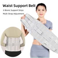 China Medical Lumbar Waist Support Belt With 6 Bionic Support Strips for sale