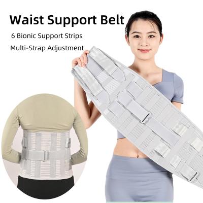 China Medical Lumbar Waist Support Belt With 6 Bionic Support Strips for sale