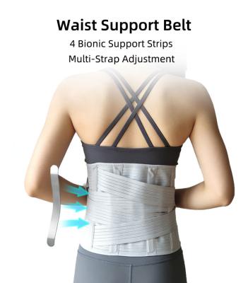 China Orthopedic Waist Support Belt With 4 Bionic Support Strips for sale