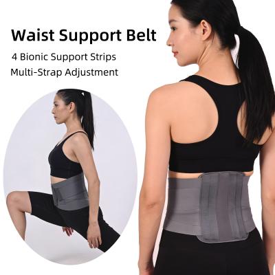 China Adjustable 4 Support Strips Lumbar Waist Support Belt For Back Pain Relief for sale