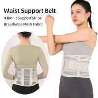 China Ultra Breathable Mesh Waist Support Belt Lumbar Brace For Back Pain Relief Men Women for sale