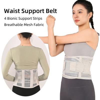 China Ultra Breathable Mesh Waist Support Belt Lumbar Brace For Back Pain Relief Men Women for sale