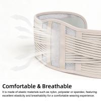 China Ultra Breathable Mesh Waist Support Belt Lumbar Brace For Back Pain Relief Men Women for sale