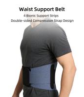 China Double Compression Waist Support Belt With 4 Bionic Strips For Lower Back Pain Relief for sale