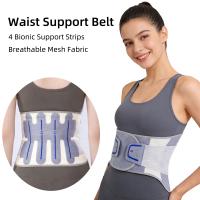 China Breathable Mesh Waist Support Belt With 4 Bionic Strips For T12-L5 Lumbar Pain Relief for sale