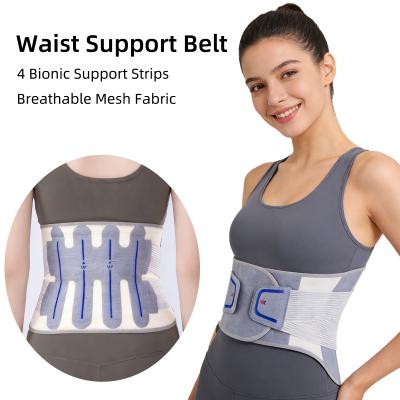 China Breathable Mesh Waist Support Belt With 4 Bionic Strips For T12-L5 Lumbar Pain Relief for sale
