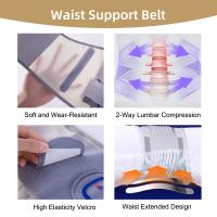 China Breathable Mesh Waist Support Belt With 4 Bionic Strips For T12-L5 Lumbar Pain Relief for sale
