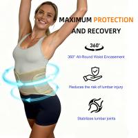 China 7 Bionic Stays Lumbar Support Belt 360 Wrap Lower Back Pain Brace for sale