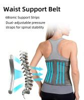 China 7 Bionic Support Stays Lumbar Support Belt 360 Wrap Back Pain Brace for sale