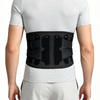 China Detachable Support Strips Lumbar Support Belt Men Lower Back Pain Brace for sale