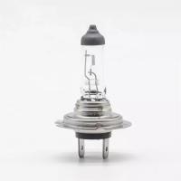 China 55W 65W 12V Car Headlight Auto Halogen Bulb Auto Accessories for sale