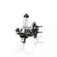 China Clear Car Headlight Auto Halogen Bulb Super Bright 3000LM for sale
