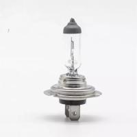 China 12V Warm White Auto Halogen Light Bulbs High Power Halogen Bulb For Car for sale
