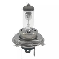 China High Brightness Auto Halogen Bulbs 12V 60W 55W Headlight Bulb for sale
