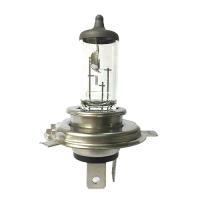 China 12V 55W 60W Halogen Heat Lamp Grinder Projector Quartz Halogen Bulb for sale