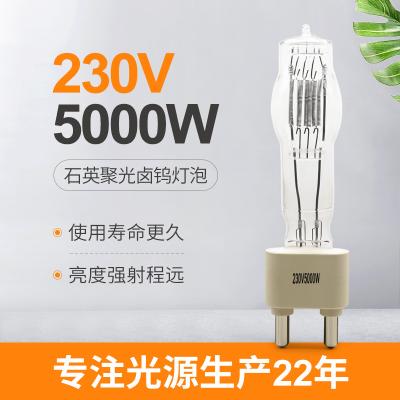 China 230V 5000W G38 Studio Quartz Light Bulb Boat Halogen Lamp 180mm 125000lm for sale
