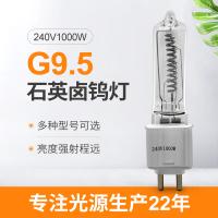 China G9.5 240V 1000w Tungsten Halogen Lamp Single Ended Stage And Studio Lamp for sale