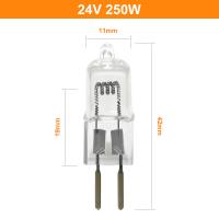 China Low Voltage Medical Light Bulb G6.35 24V 250 Watt Halogen Bulb Led Replacement for sale
