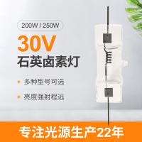 China Tungsten Double Ended Halogen Lamp 200w 250W 30V for sale