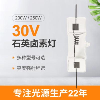 China Tungsten Double Ended Halogen Lamp 200w 250W 30V for sale